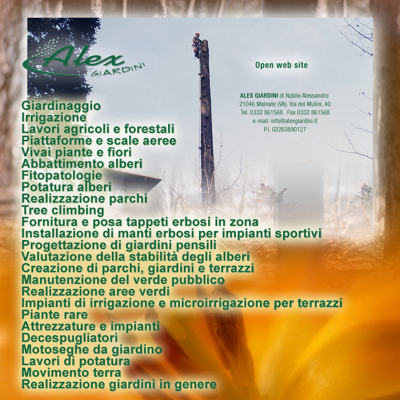 ABBATTIMENTO ALBERI POTATURA ALBERI | VARESE PROVINCIA DI VARESE COMO ... ABBATTIMENTO ALBERI POTATURA ALBERI | VARESE PROVINCIA DI VARESE COMO ...